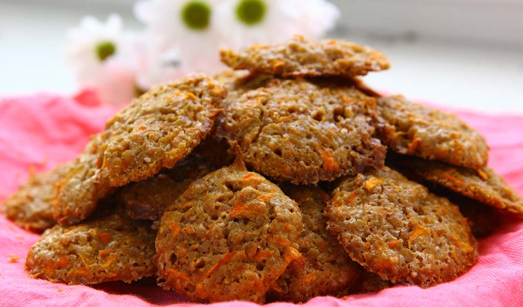 10 Best Natural Homemade Raw Dog Food Recipes Photos And Videos 10 Best Natural Homemade Raw Dog Food Recipes Photos And Videos