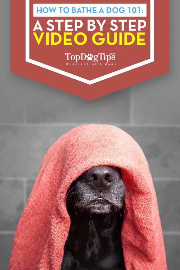 How To Bathe A Dog at Home: Easy Step-by-Step Video Instructions