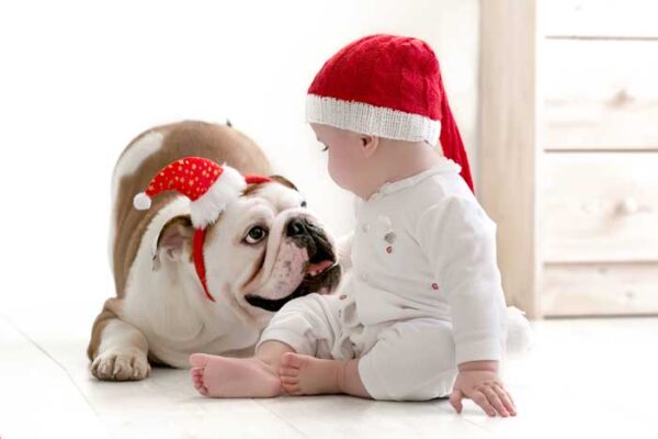 16 Best Dogs for Families with Kids (Guaranteed Safety!)