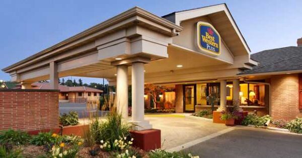18 Best Dog-Friendly USA Hotels That Will Welcome Your Pups (2020)