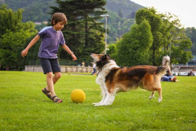 16 Best Dogs for Families with Kids (Guaranteed Safety!)