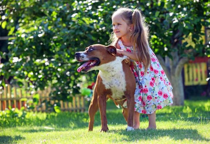 16 Best Dogs for Families with Kids (Guaranteed Safety!)