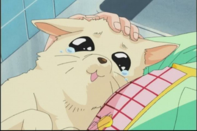 10 Most Awesome Dogs in Anime – Top Dog Tips
