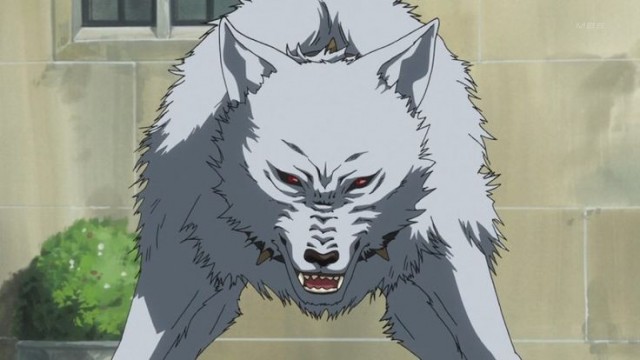 10 Most Awesome Dogs in Anime – Top Dog Tips