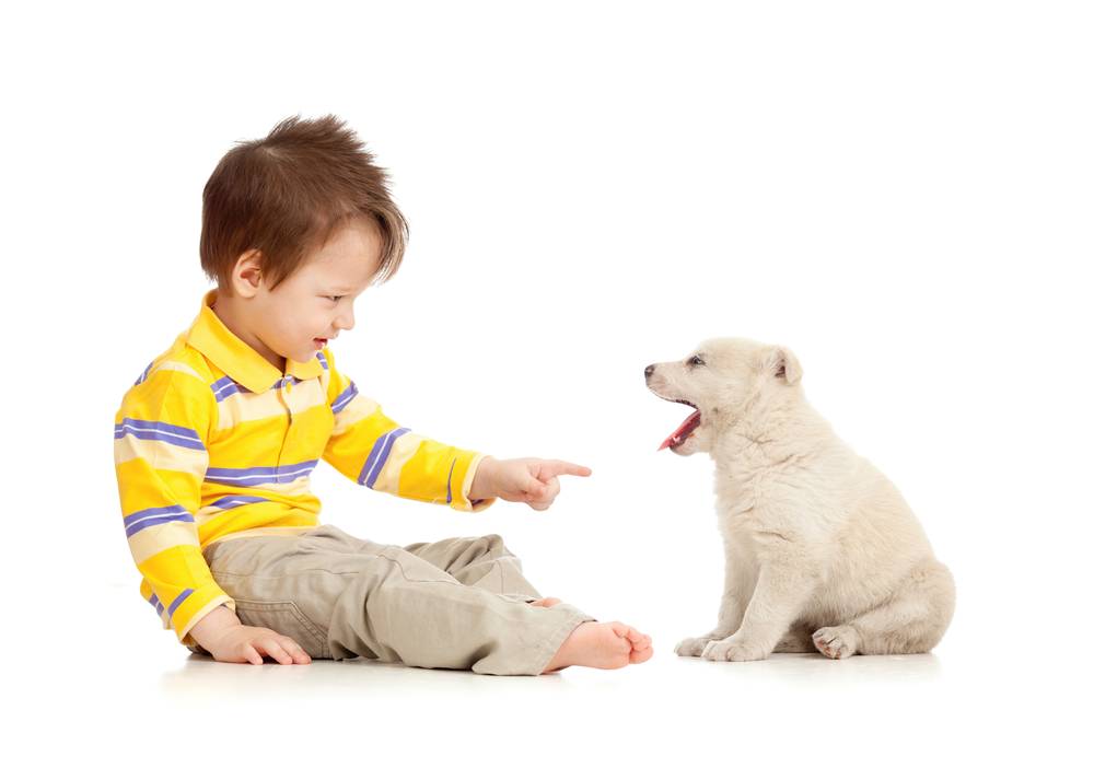 How to Train a Puppy in 3 Simple Steps – Top Dog Tips