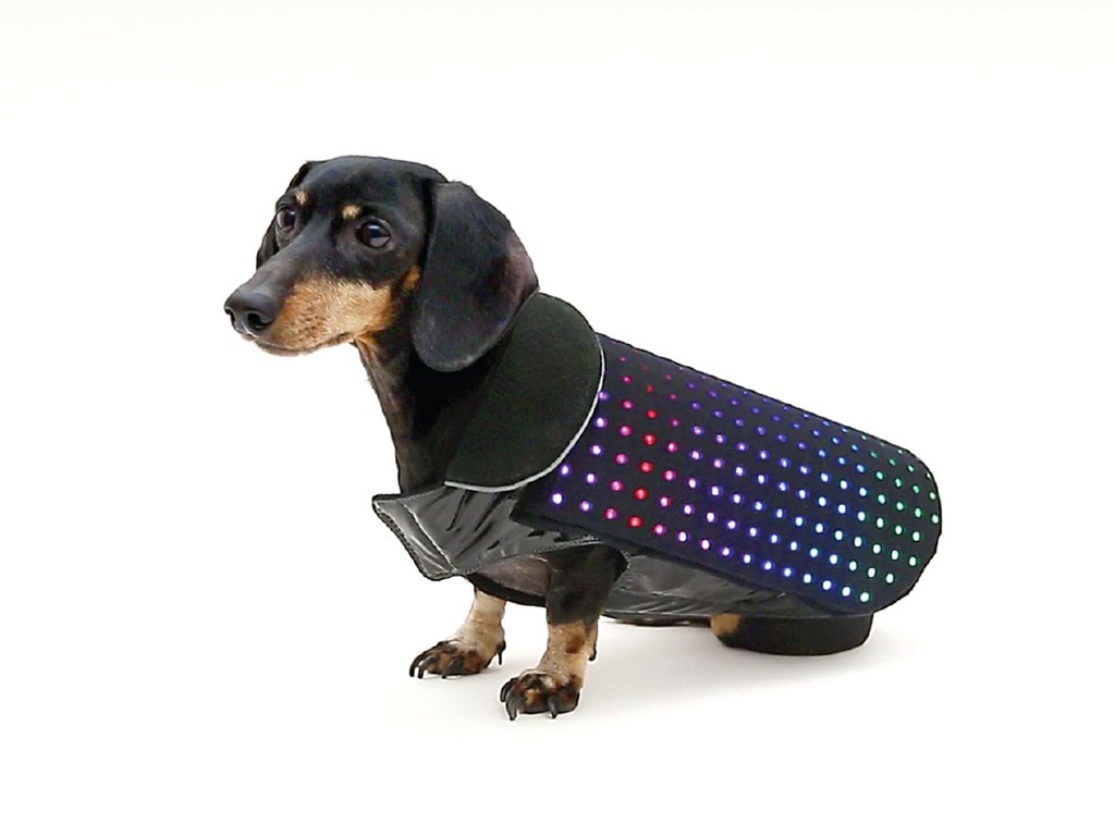 Dog Vest with App Controlled LED Lights – Top Dog Tips
