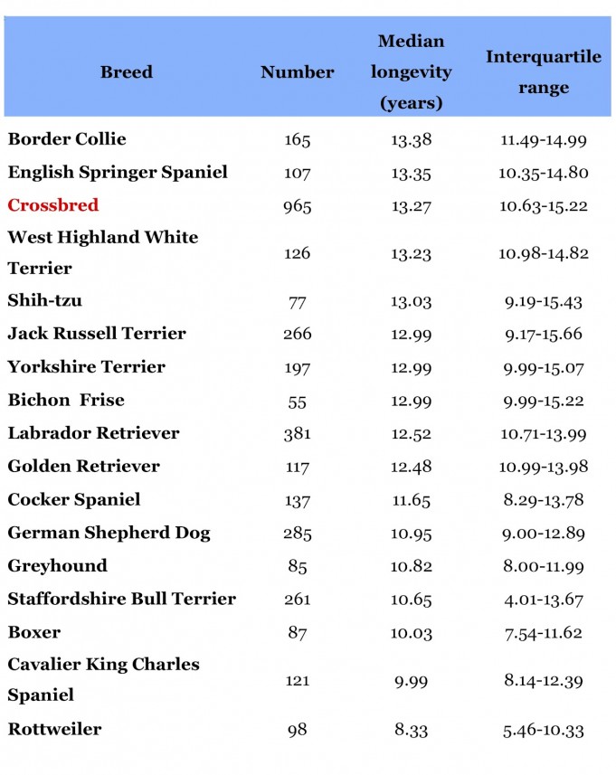 How Long Do Dogs Live: Your Dog's Lifespan – Top Dog Tips