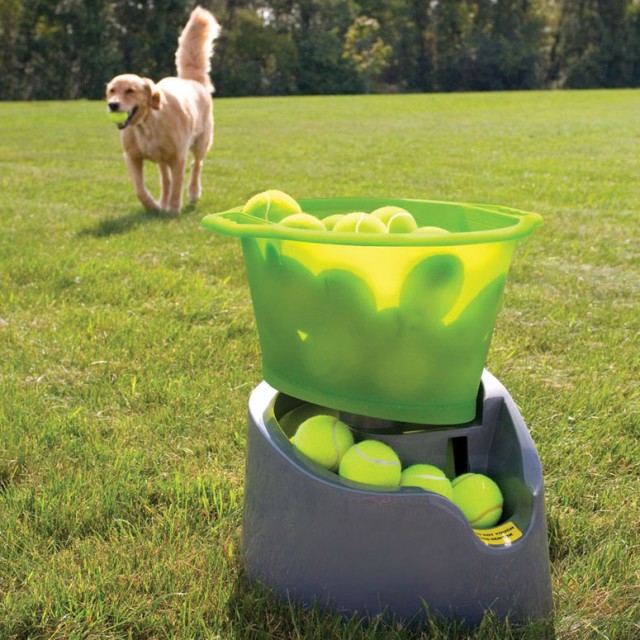 9 Best Dog Tech Devices Pet Owners Love – Top Dog Tips