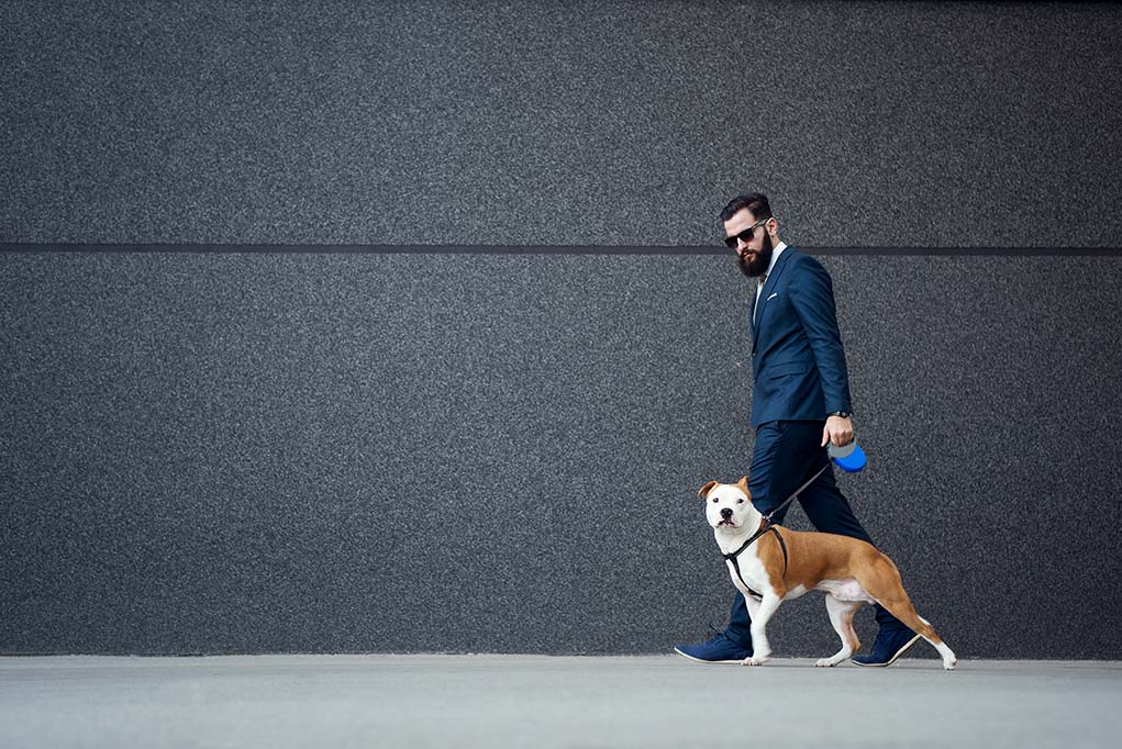 10 Best Dog Business Ideas For Petreneurs To Launch Today 10 Best Dog Business Ideas For Petreneurs To Launch Today