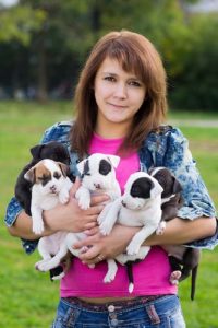 How to Start a Dog Breeding Business 101: Best Actionable Tips