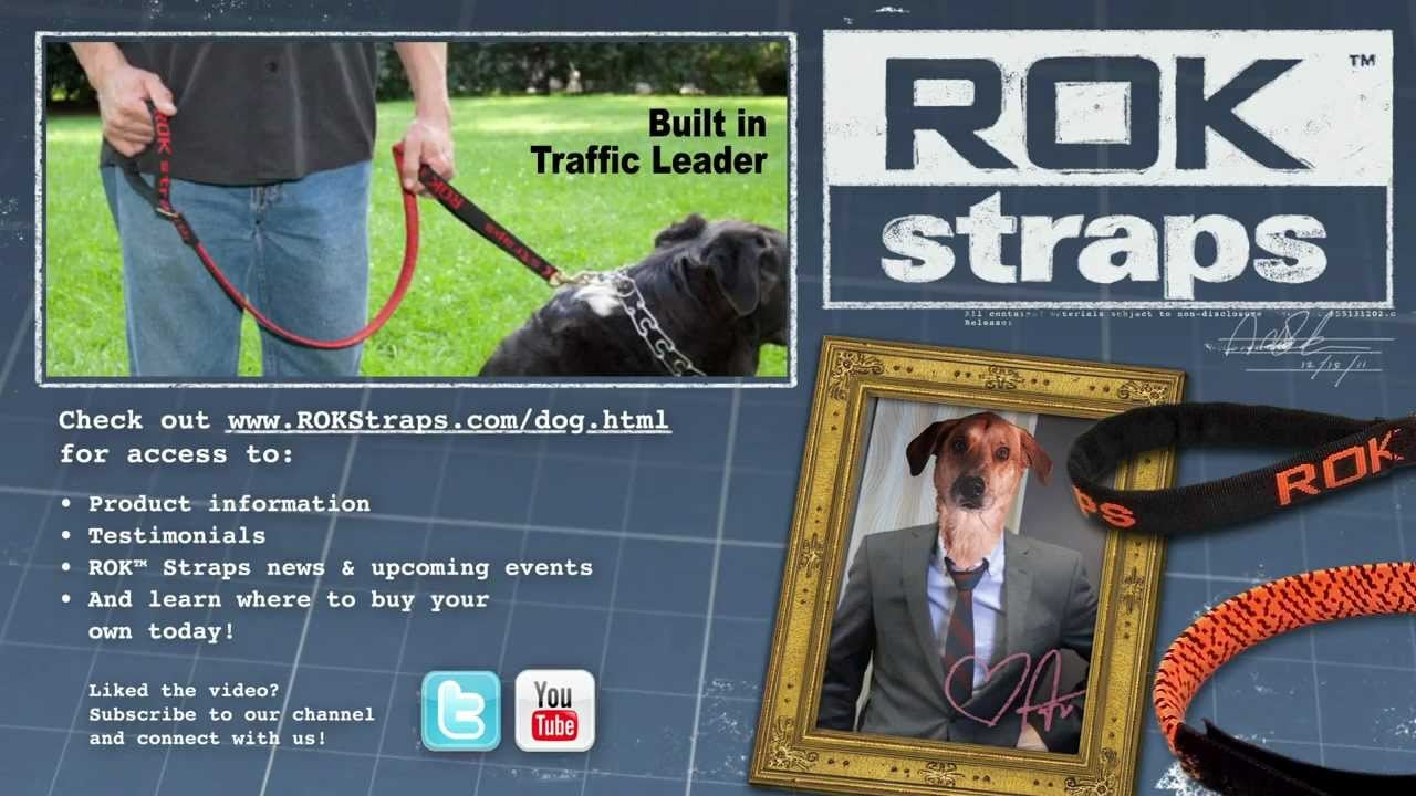 ROK Straps Manufactures the Ultimate Stretch Leash