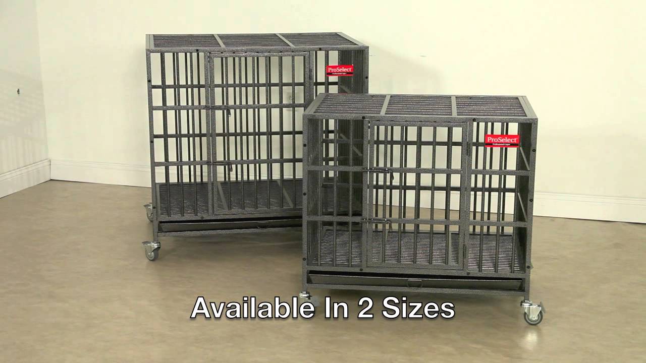 This Dog Crate is Virtually Indestructible – Top Dog Tips