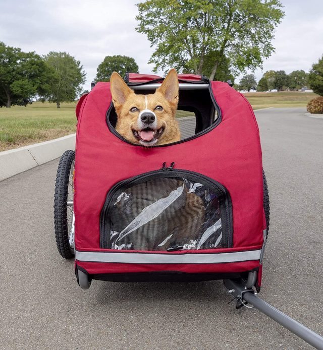 It's Still Summer! Hit the Road with a Doggy Trailer – Top Dog Tips