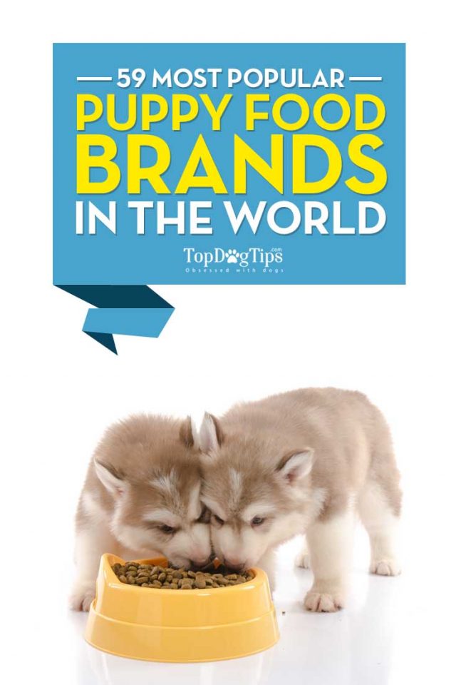 59 Most Popular Puppy Food Brands – Top Dog Tips