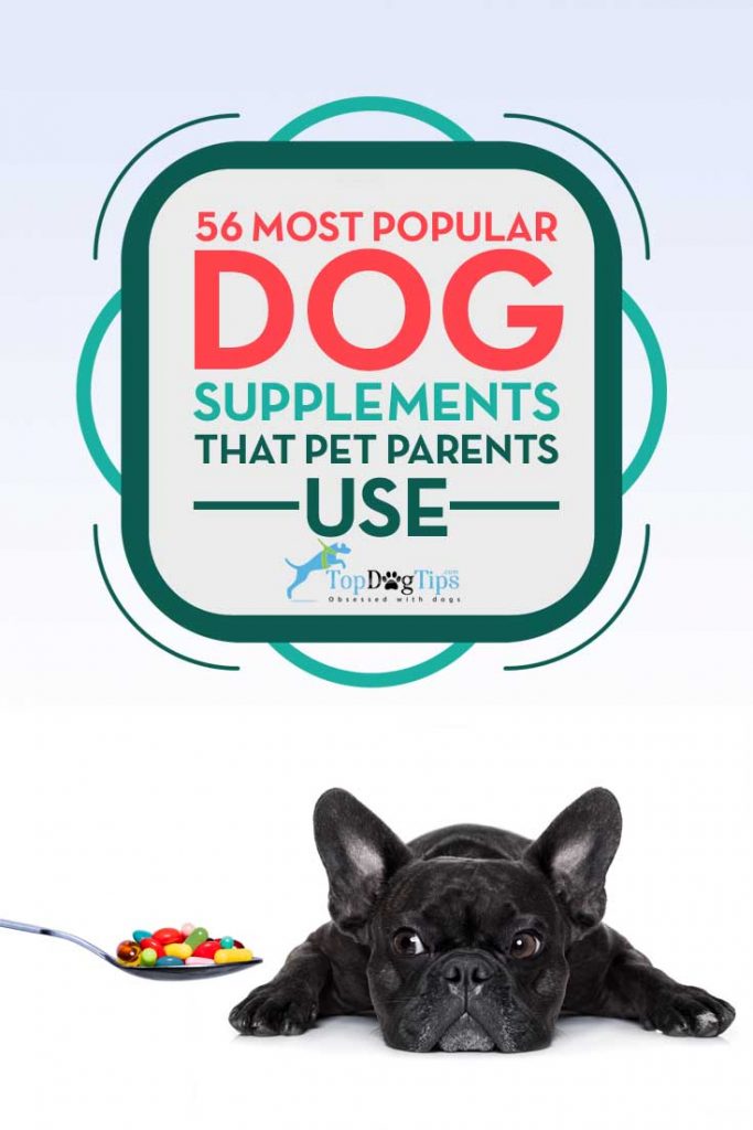 56 Most Popular Dog Supplements – Top Dog Tips