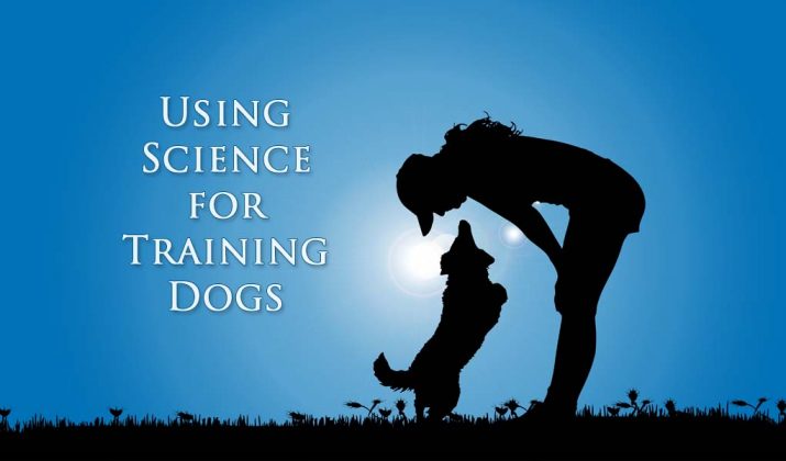 10 Science-based Dog Training Tricks – Top Dog Tips