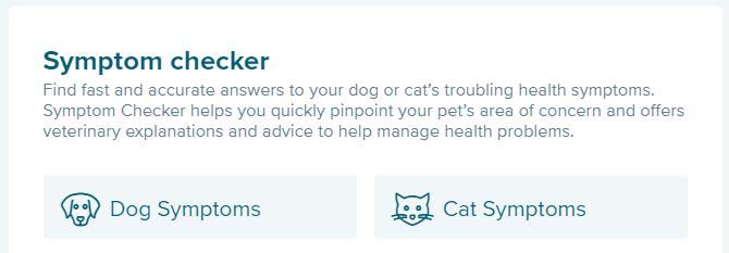Best Dog Illness Symptom Checker Online Websites