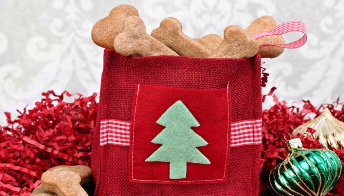 7 Ideas on How to Spend Christmas with Your Dog – Top Dog Tips