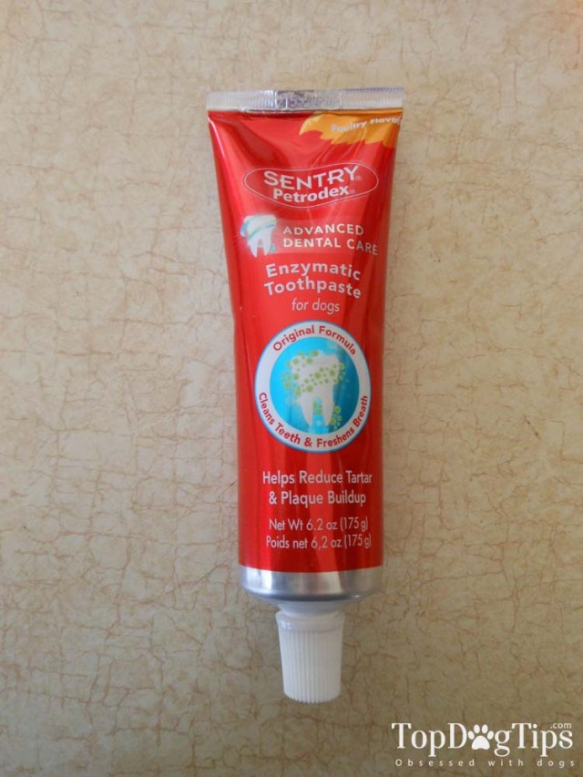 Top 10 Best Dog Toothpaste Brands of 2020 (Ranking and Review Update)