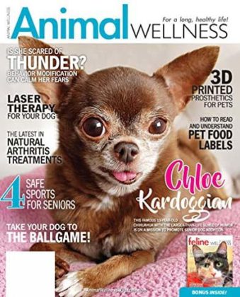 10 Best Dog Magazines of 2020 (Annual Round-up Update)