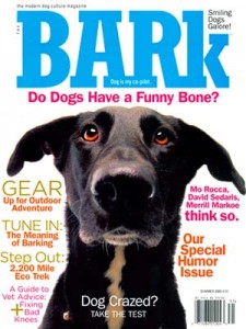 10 Best Dog Magazines of 2020 (Annual Round-up Update)
