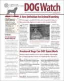 10 Best Dog Magazines of 2020 (Annual Round-up Update)