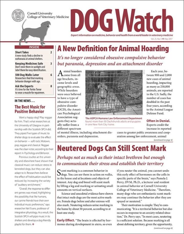 10 Best Dog Magazines of 2020 (Annual Round-up Update)
