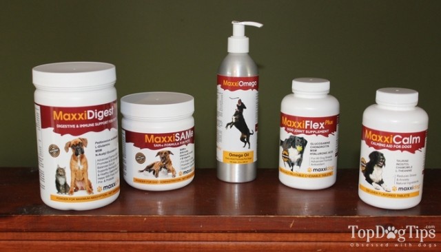 Review: MaxxiDog Dog Supplements – Top Dog Tips