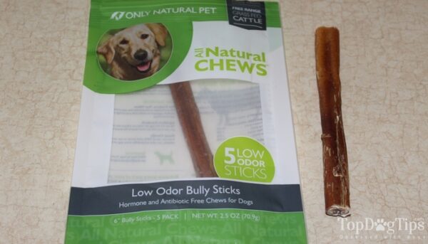 Review: Only Natural Pet Dog Treats and Chews – Top Dog Tips