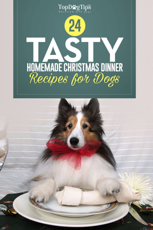 24 Christmas Dinner Recipes for Dogs to Celebrate With Them