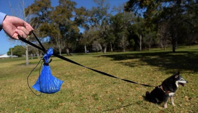 You Won't Have to Carry Full Dog Waste Bags With the Poo Butler – Top ...