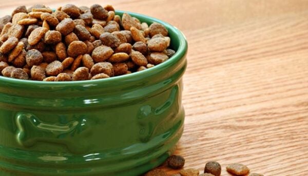 5 Best Natural Dog Food That's USDA-Certified & Healthy