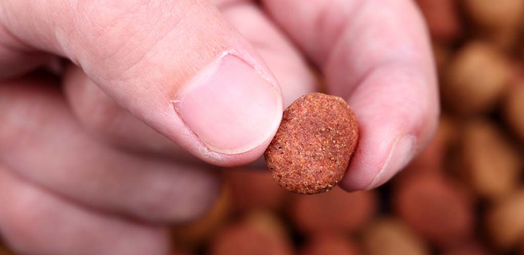 Best Food For Dogs 101 FREE Dog Food Buying Guide