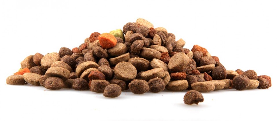 Best Food for Dogs 101: FREE Dog Food Buying Guide
