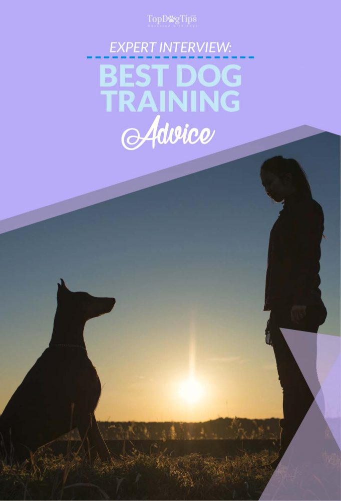 Expert Interview: Best Dog Training Tips From Dr. Roger Mugford