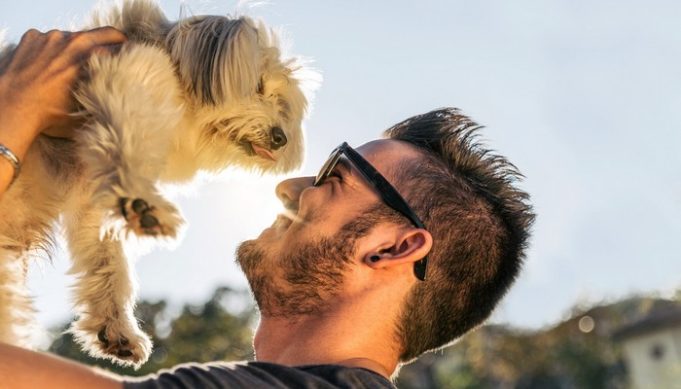 Why Is My Dog So Cute? Science Explained! – Top Dog Tips