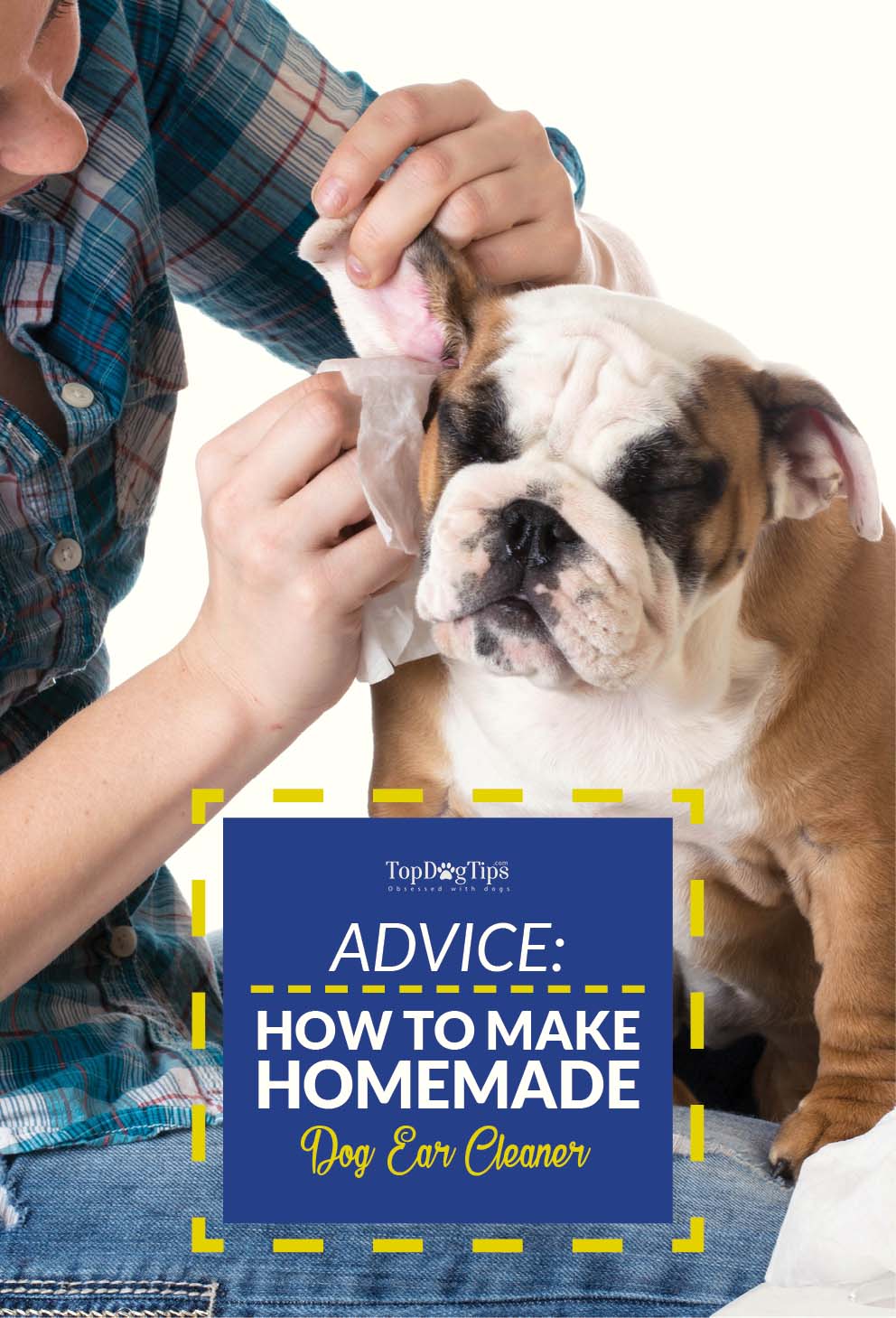How To Make Homemade Dog Ear Cleaner