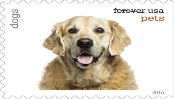 Pets on Postage Stamps? FINALLY! – Top Dog Tips