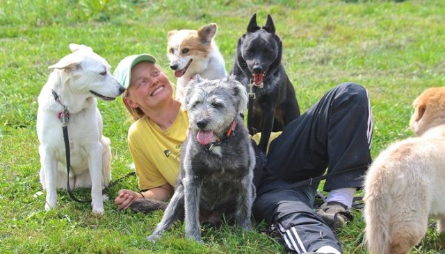 Would You Quit Wall Street to Help Shelter Dogs? – Top Dog Tips