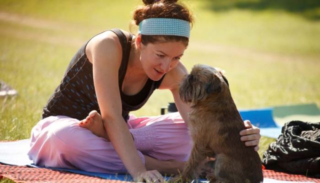 Doga 101: Benefits and Precautions of Doing Yoga with Dogs