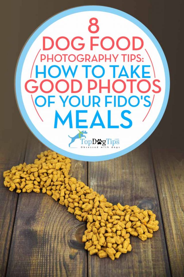 8 Dog Food Photography Tips to Take Great Pics for Your Pet's Instagram