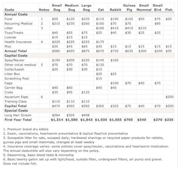 How Much Does a Dog Cost? Budgeting Guide for Dog Owners