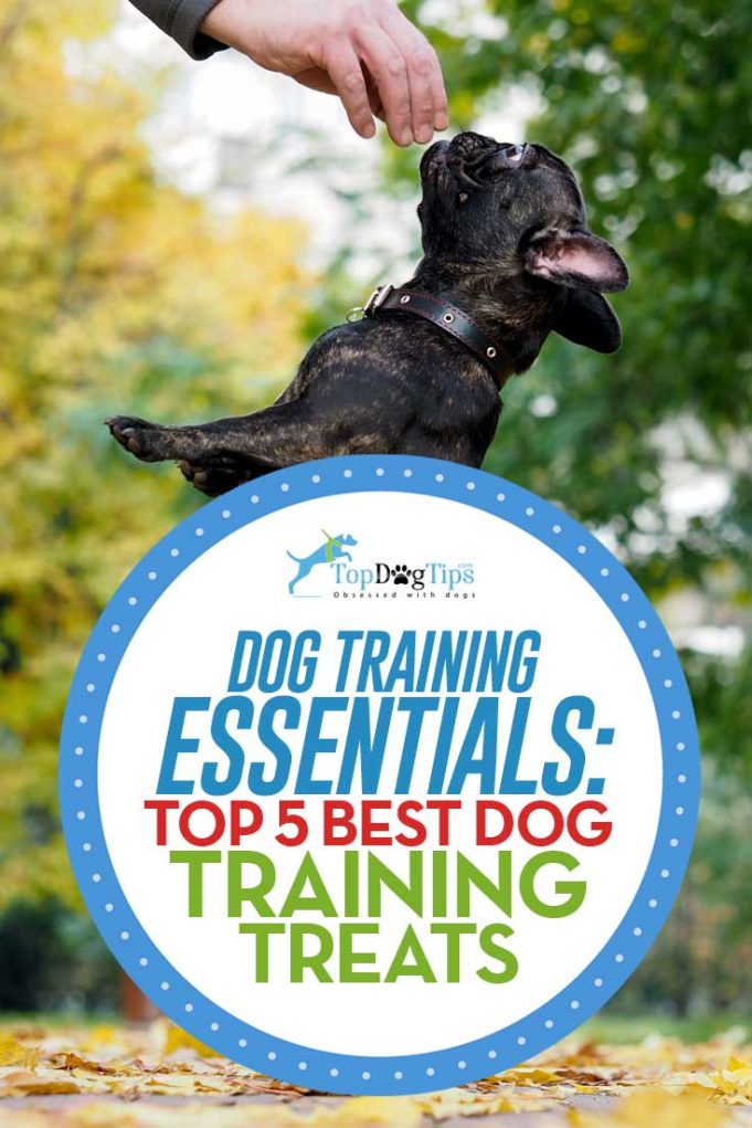 Top 5 Best Dog Training Treats in 2017 (small and low calorie)