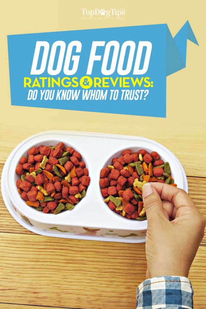 Dog Food Ratings: What You Need to Know About Dog Food Reviews