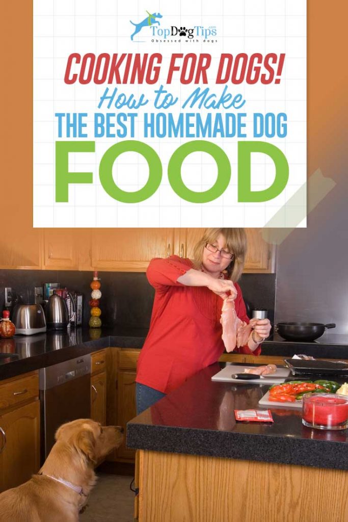 How To Make Homemade Dog Food: A Detailed Video Guide