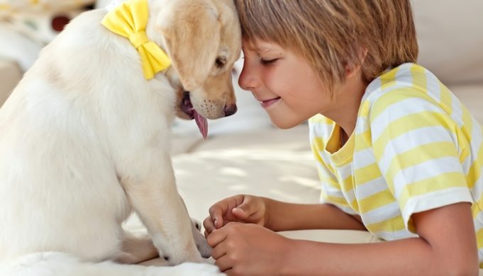How To Teach Kids To Behave Around Dogs - Instructional Video