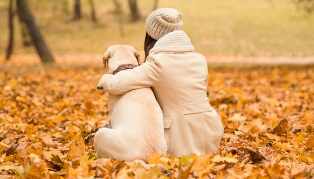 14 Tips on How to Become the Best Pet Parent to Your Dog