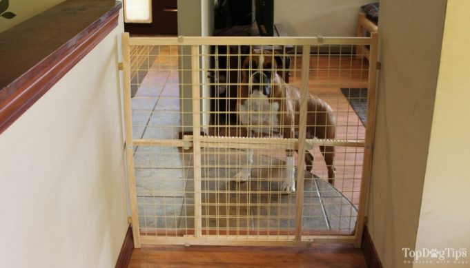10 Best Dog Gates for Indoors & Outdoors in 2020 (A Buyer's Guide)