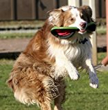 Top 5 Best Dog Frisbee Brands and Flying Discs for Dogs (2017)