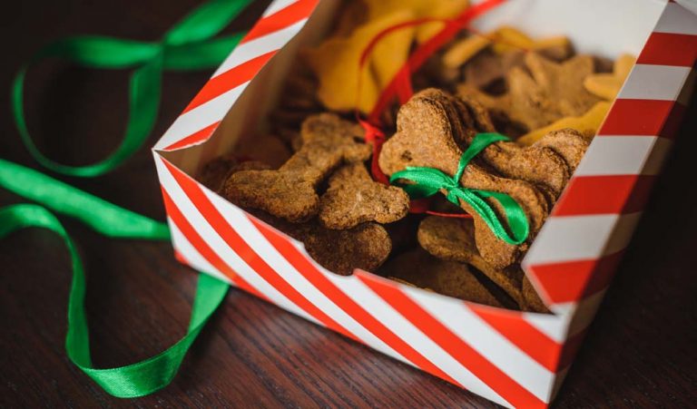 24 Christmas Dinner Recipes for Dogs to Celebrate With Them